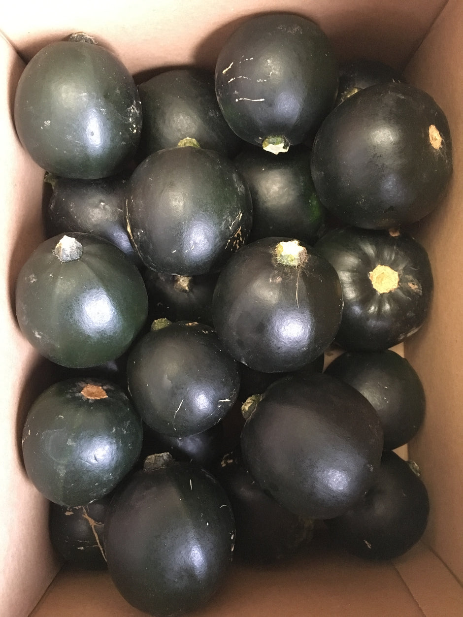 Products – Gem Squash