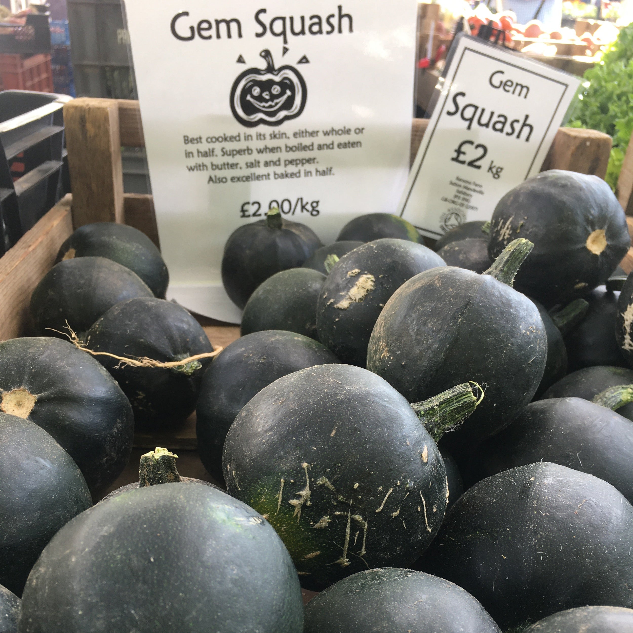 Gem Squash